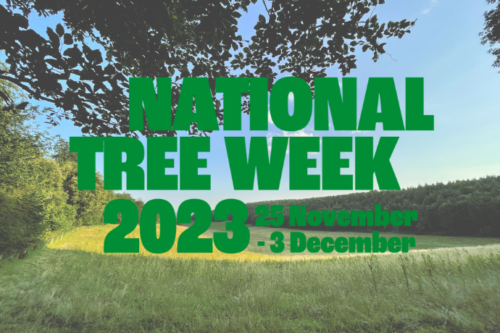 National Tree Week - Wagner Renewables