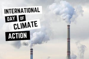 International Day of Climate Action: How Solar PV and Tree Planting Can Help Combat Climate ...